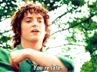 Lotr GIFs - Get the best gif on GIFER