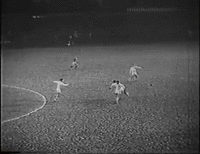 Hoof GIFs - Get the best gif on GIFER