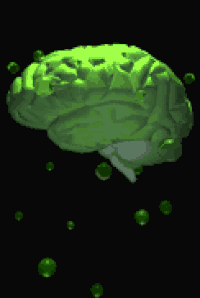 Brain crush GIFs - Get the best gif on GIFER