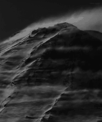 Bw GIFs - Get the best gif on GIFER