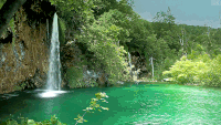 Naturaleza GIF - Conseguir el mejor gif en GIFER