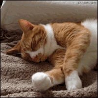 Ausruhen GIFs - Get the best gif on GIFER