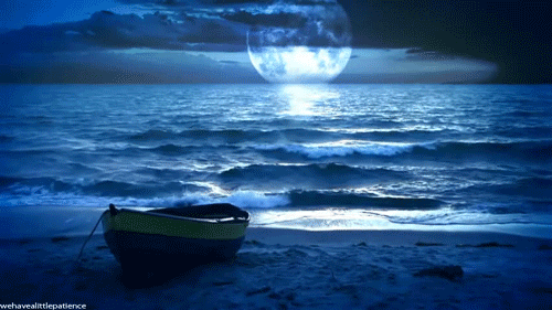 Muncheechee GIFs - Get the best gif on GIFER