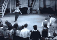 Tumble GIFs - Get the best gif on GIFER