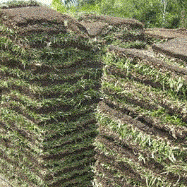 Sod GIFs - Get the best gif on GIFER