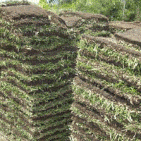 Sod GIFs - Get the best gif on GIFER