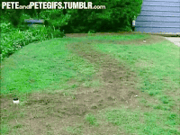 Ground GIFs - Get the best gif on GIFER