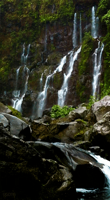 Paradise waterfall GIFs - Hole dir die besten GIFs auf GIFER
