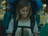 Stray GIFs - Get the best gif on GIFER