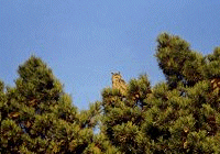 Hike GIFs - Get the best gif on GIFER