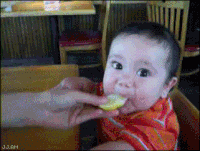 Lemon GIFs - Get the best gif on GIFER