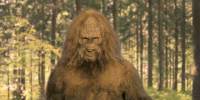 Sasquatch GIFs - Get the best gif on GIFER