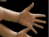 Open hand GIF - Conseguir o melhor gif em GIFER