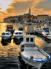 Istanbul GIFs - Get the best gif on GIFER