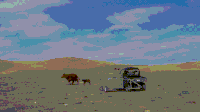 Calf GIFs - Get the best gif on GIFER