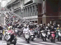Taiwan GIFs - Get the best gif on GIFER