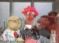 Disapproving GIFs - Get the best gif on GIFER