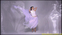 Rahhh GIFs - Get the best gif on GIFER