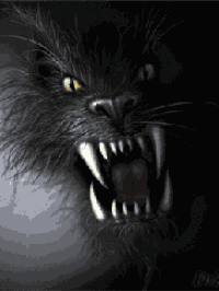 Werewolves GIFs - Get the best gif on GIFER