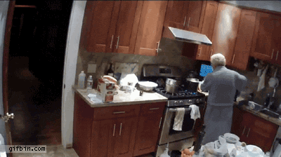 Avo GIFs - Get the best gif on GIFER