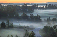 Fog GIFs - Get the best gif on GIFER