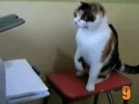 Print GIFs - Get the best gif on GIFER