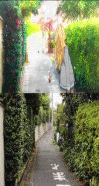 Shigatsu GIFs - Get the best gif on GIFER
