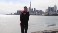 Toronto GIFs - Get the best gif on GIFER