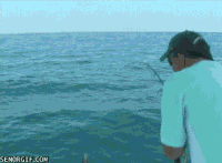 Fishing GIFs - Get the best gif on GIFER