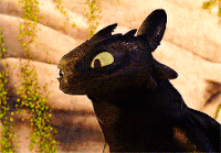 Toothless GIFs - Get the best gif on GIFER