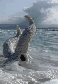 Shore GIFs - Get the best gif on GIFER