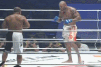 Knee GIFs - Get the best gif on GIFER