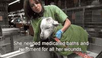 Homeless GIFs - Get the best gif on GIFER