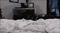 Offense GIFs - Get the best gif on GIFER