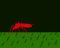 Mosquito GIFs - Get the best gif on GIFER