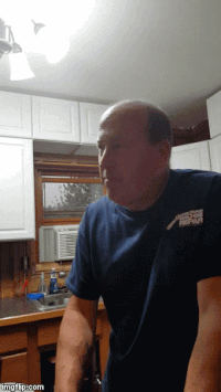 Gamba GIF - Conseguir o melhor gif em GIFER