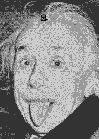 Einstein GIFs - Get the best gif on GIFER