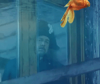 Noticed GIFs - Get the best gif on GIFER