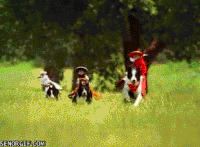 Calvary GIFs - Get the best gif on GIFER