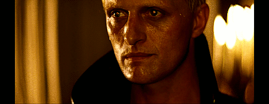 Replica GIFs - Obtenez le meilleur gif sur GIFER