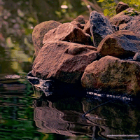 Rrelaxinggifs GIFs - Get the best gif on GIFER