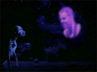 Sublime GIFs - Get the best gif on GIFER