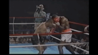 Tyson GIFs - Get the best gif on GIFER