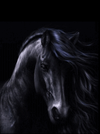 Breeding GIFs - Get the best gif on GIFER