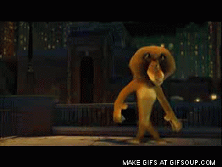 Madagascar GIFs - Get the best gif on GIFER