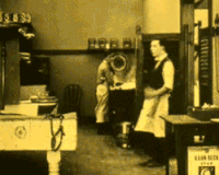Rosco GIFs - Get the best gif on GIFER
