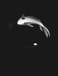 Symbol GIFs - Get the best gif on GIFER