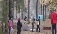 Lumberjack GIFs - Get the best gif on GIFER