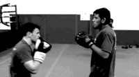 Kickboxing GIFs - Get the best gif on GIFER