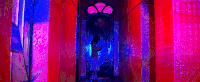 Suspiria GIFs - Get the best gif on GIFER